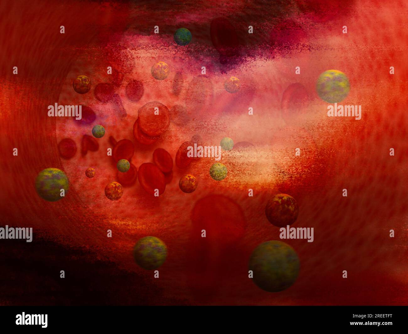 Cholesterol is an important raw material for the human body: it is ...
