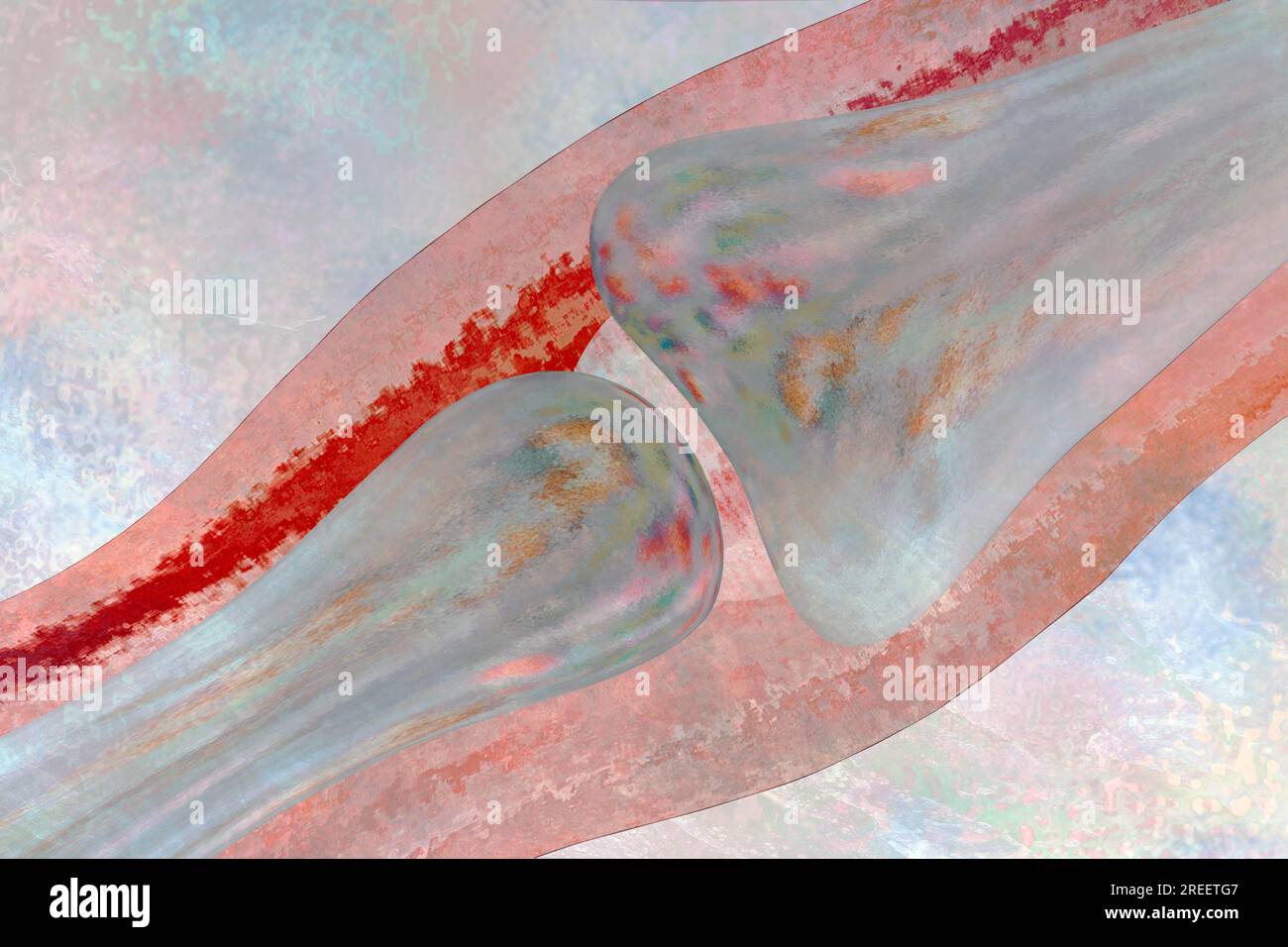 A joint connects bones and enables movement Stock Photo - Alamy