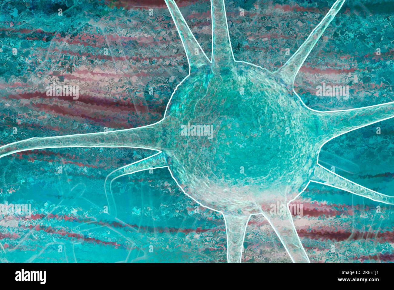 Nerve cells control thinking and movements Stock Photo - Alamy