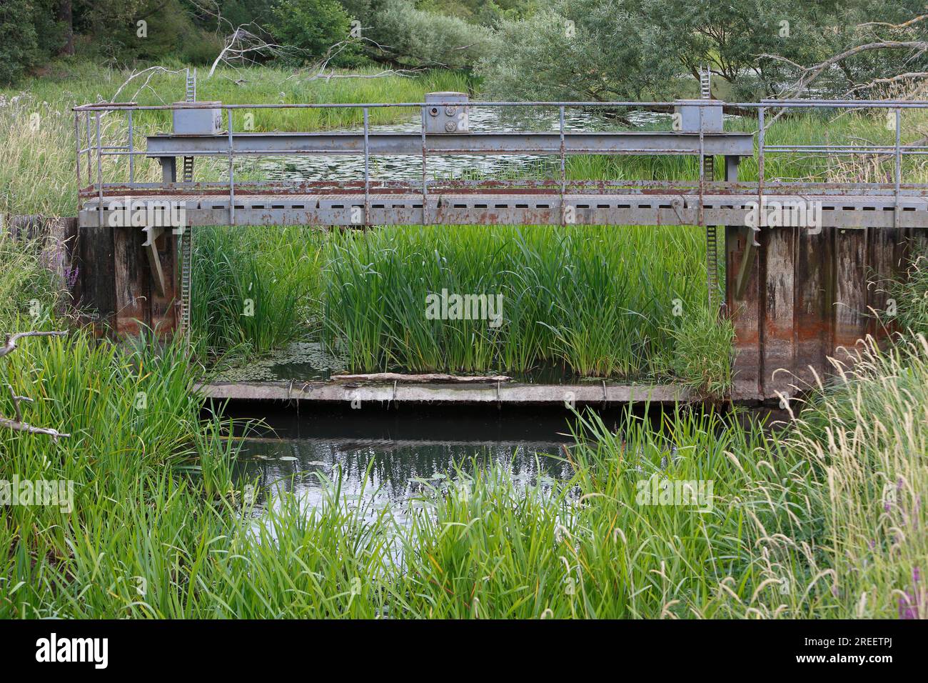 Dry fallen weir over a ditch, Middle Elbe Biosphere Reserve, Saxony ...