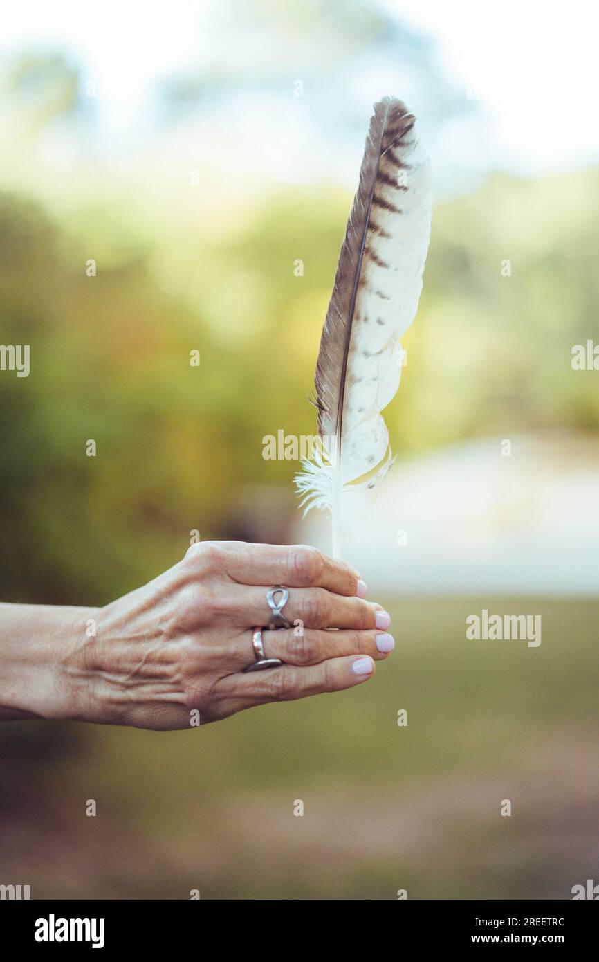 Close-up of female adult caucasian hand holding feather over nature ...