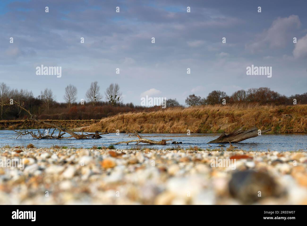 Typical biotopes of the river landscape, gravel banks as habitat for ...
