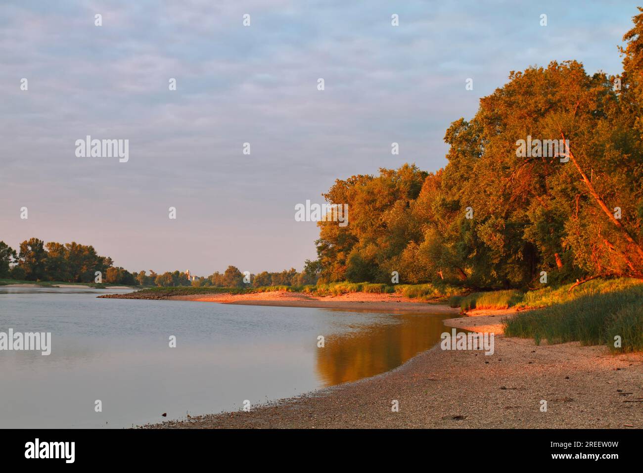 Typical biotopes of the river landscape, gravel banks as habitat for ...