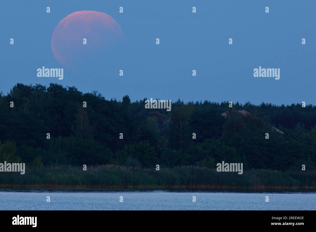 Partial lunar eclipse, Middle Elbe Biosphere Reserve, Saxony-Anhalt ...