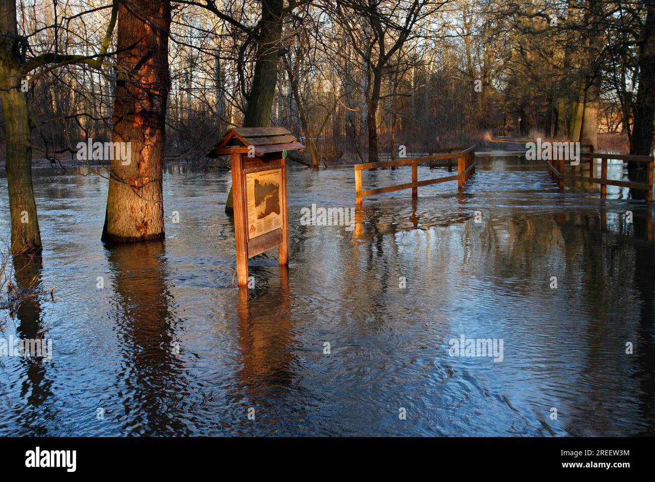 Winter floods, Middle Elbe Biosphere Reserve, Saxony-Anhalt, Germany ...