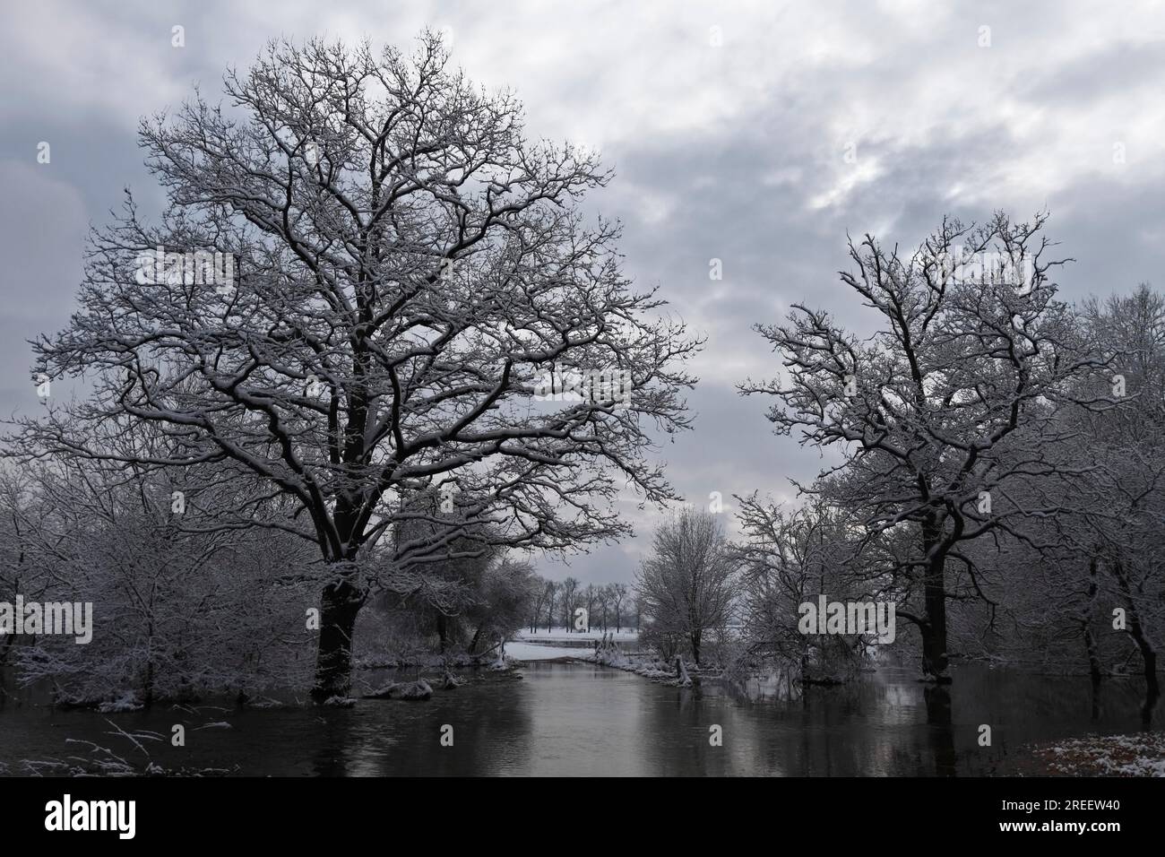 Winter floods, flooded meadows, Middle Elbe Biosphere Reserve, Saxony ...