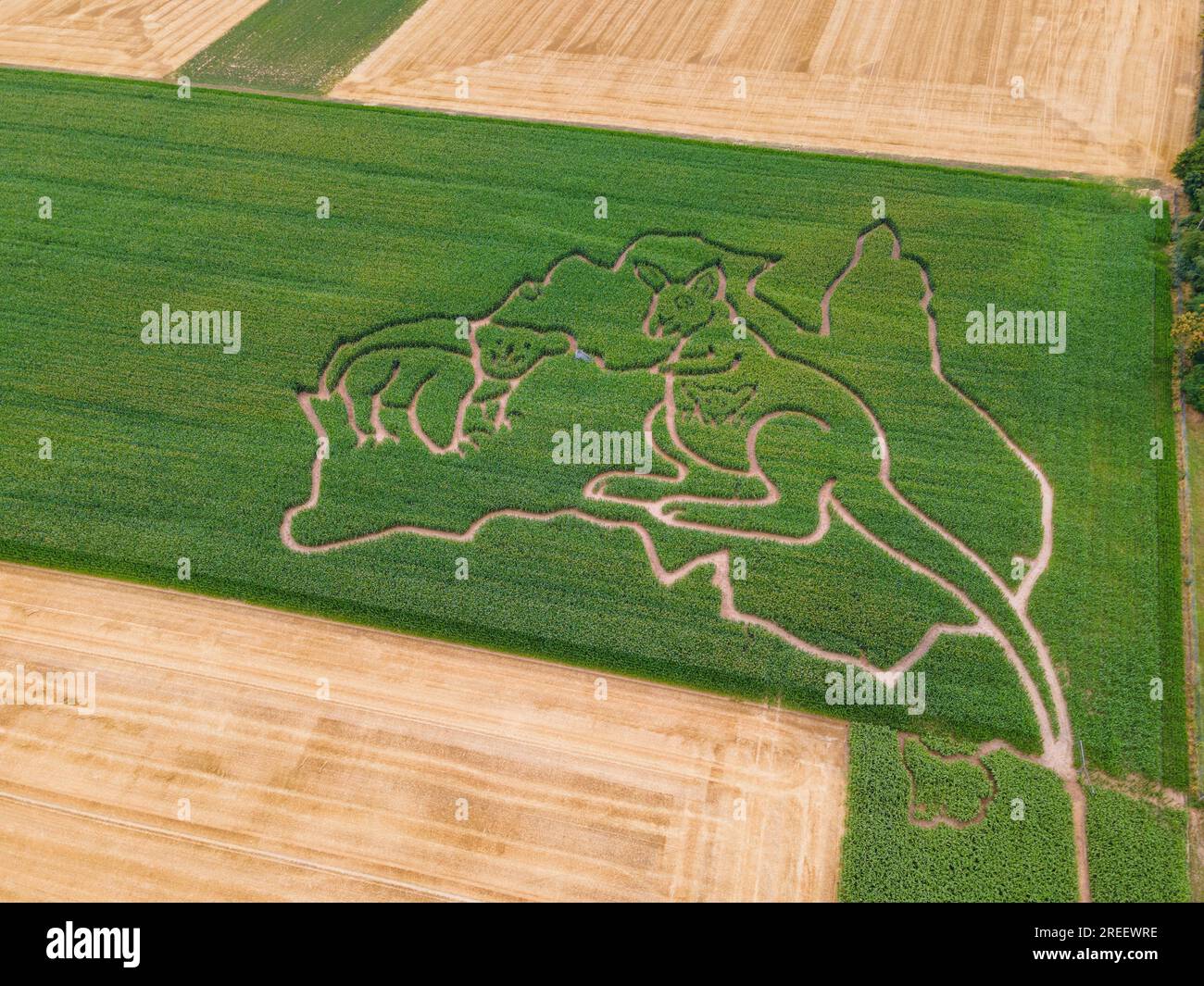 Maze aerial view hi-res stock photography and images - Alamy