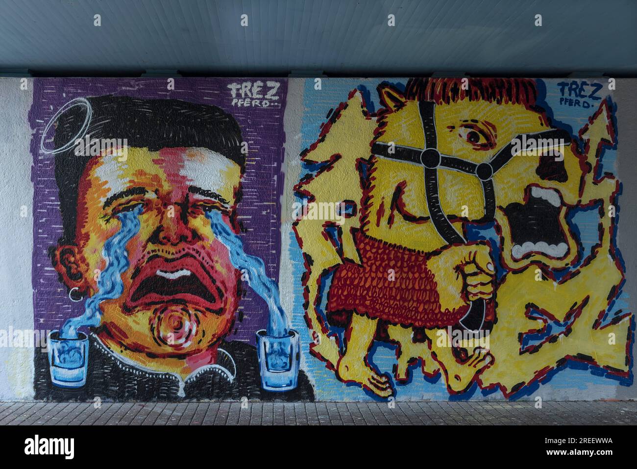 Graffiti on a subway, Lahr, Baden-Wuerttemberg, Germany Stock Photo - Alamy