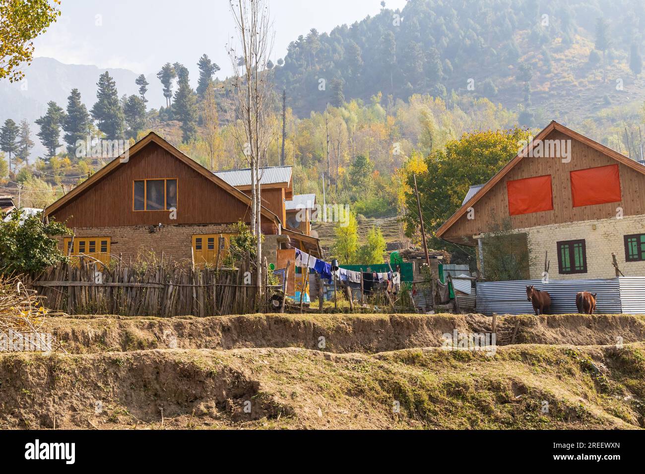 Berna Bugh, Kangan, Jammu and Kashmir, India. Houses in a village in ...