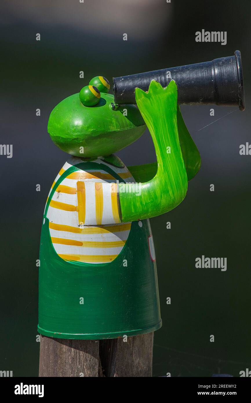 Frog fence hi-res stock photography and images - Alamy