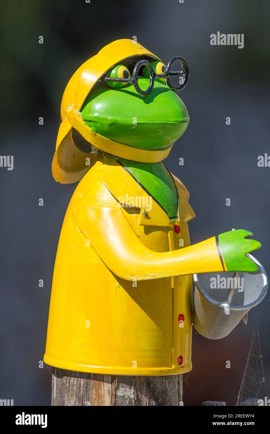 Frog fence hi-res stock photography and images - Alamy