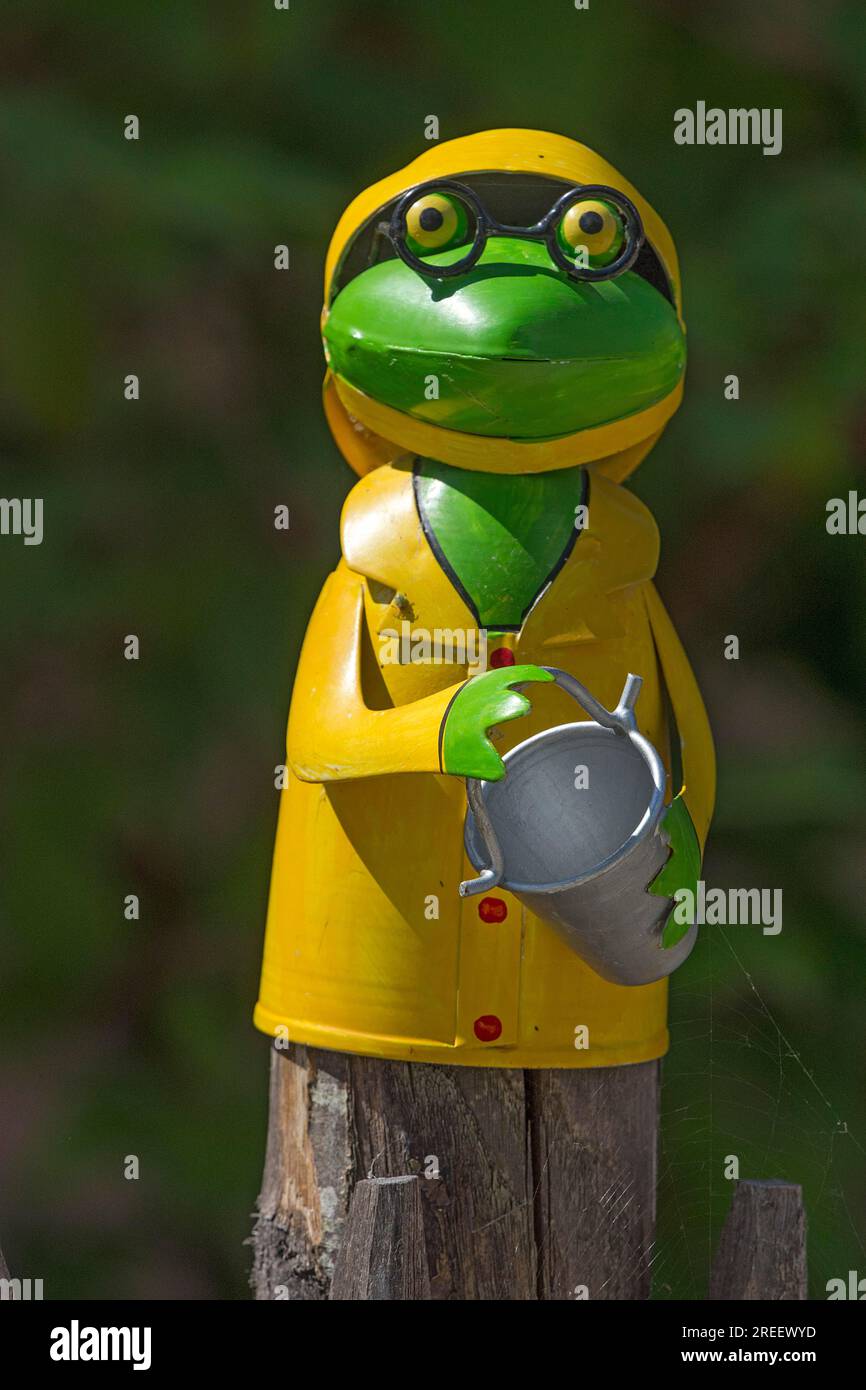 Frog fence hi-res stock photography and images - Alamy