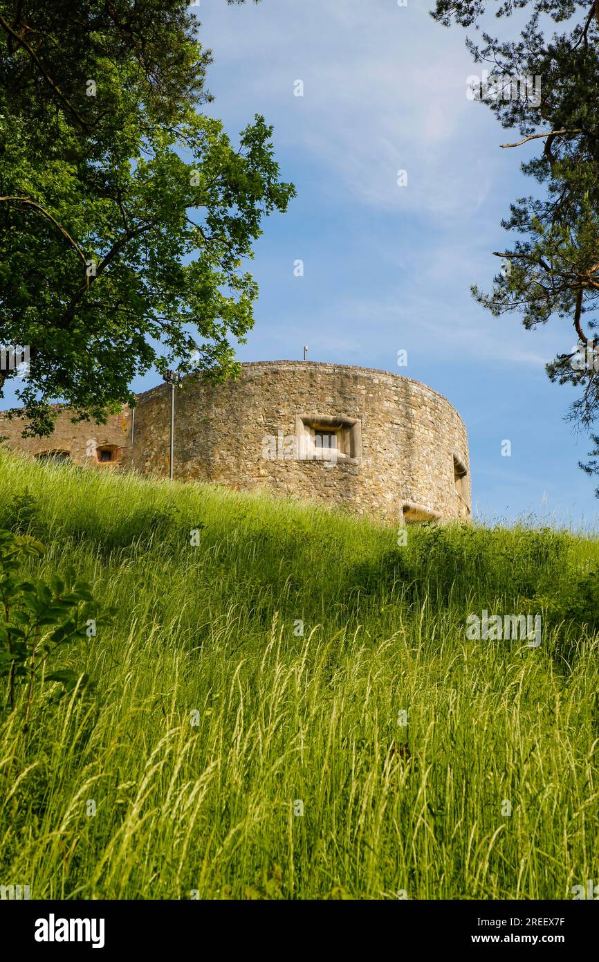 South-west defence tower, Hellenstein Castle, historical buildings ...