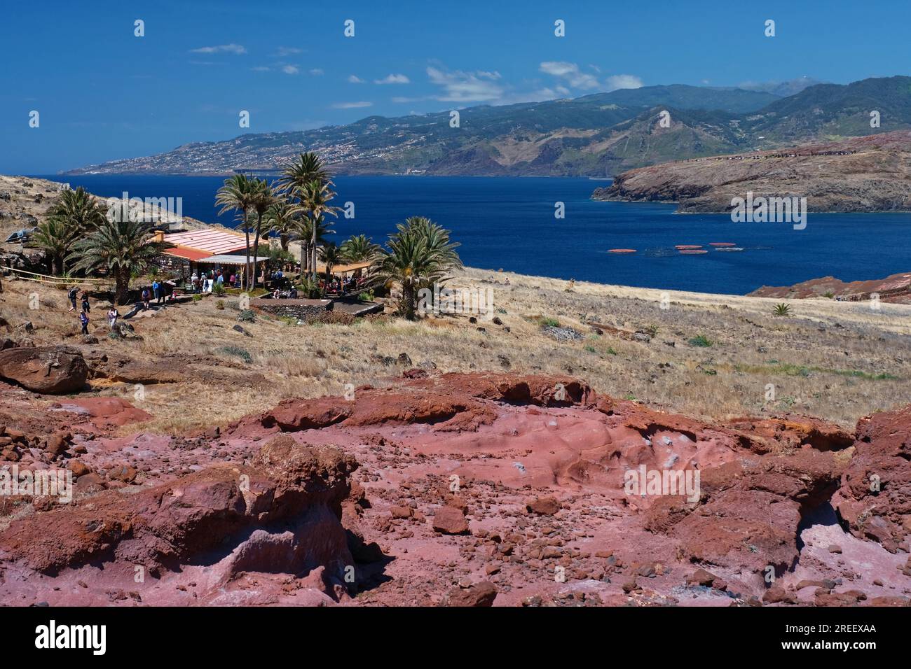 Casa da Sardinha, palm trees, volcanic rock, aquaculture, Atlantic ...