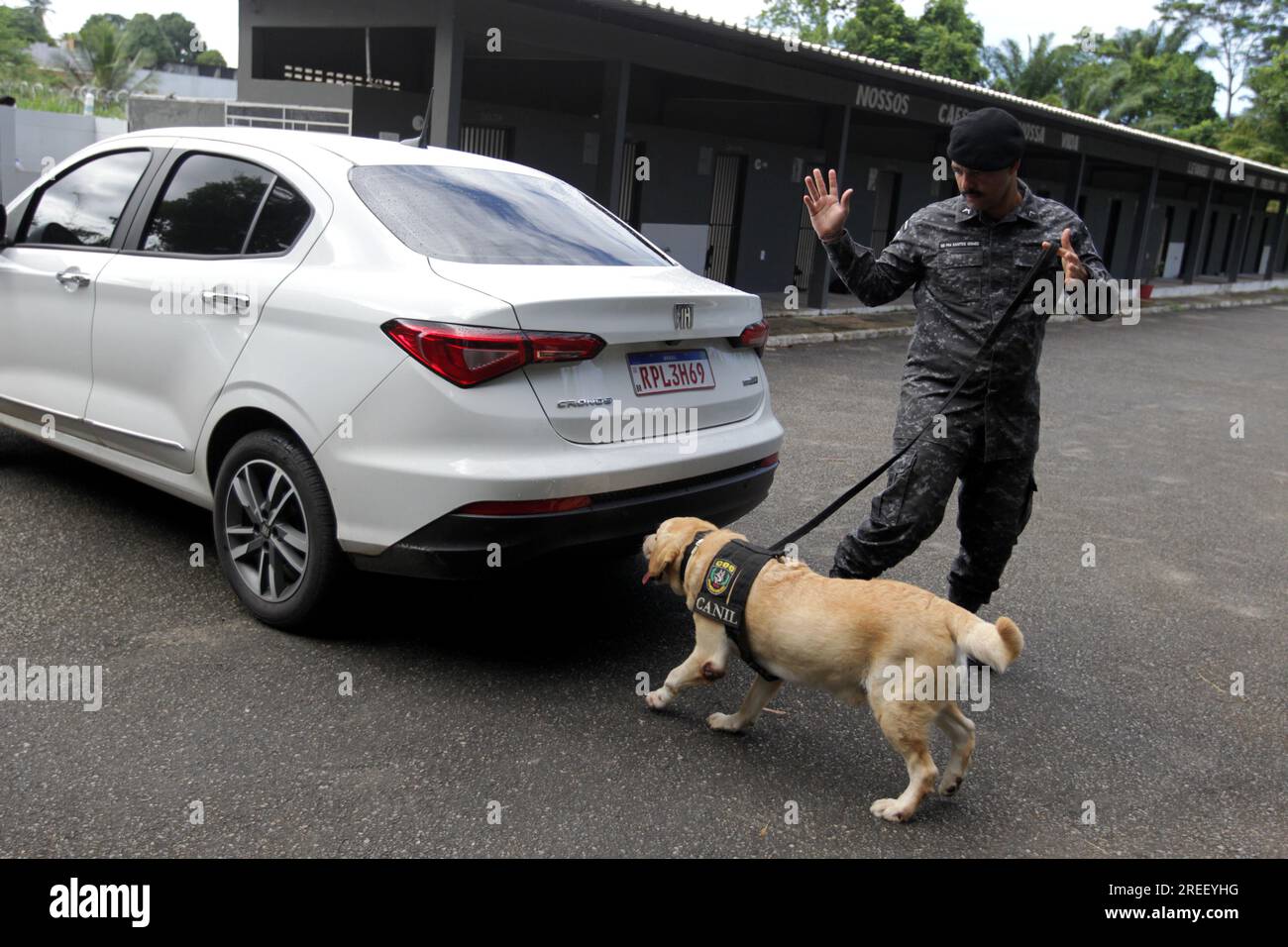 Narcotics and explosives detection hi-res stock photography and images - Alamy