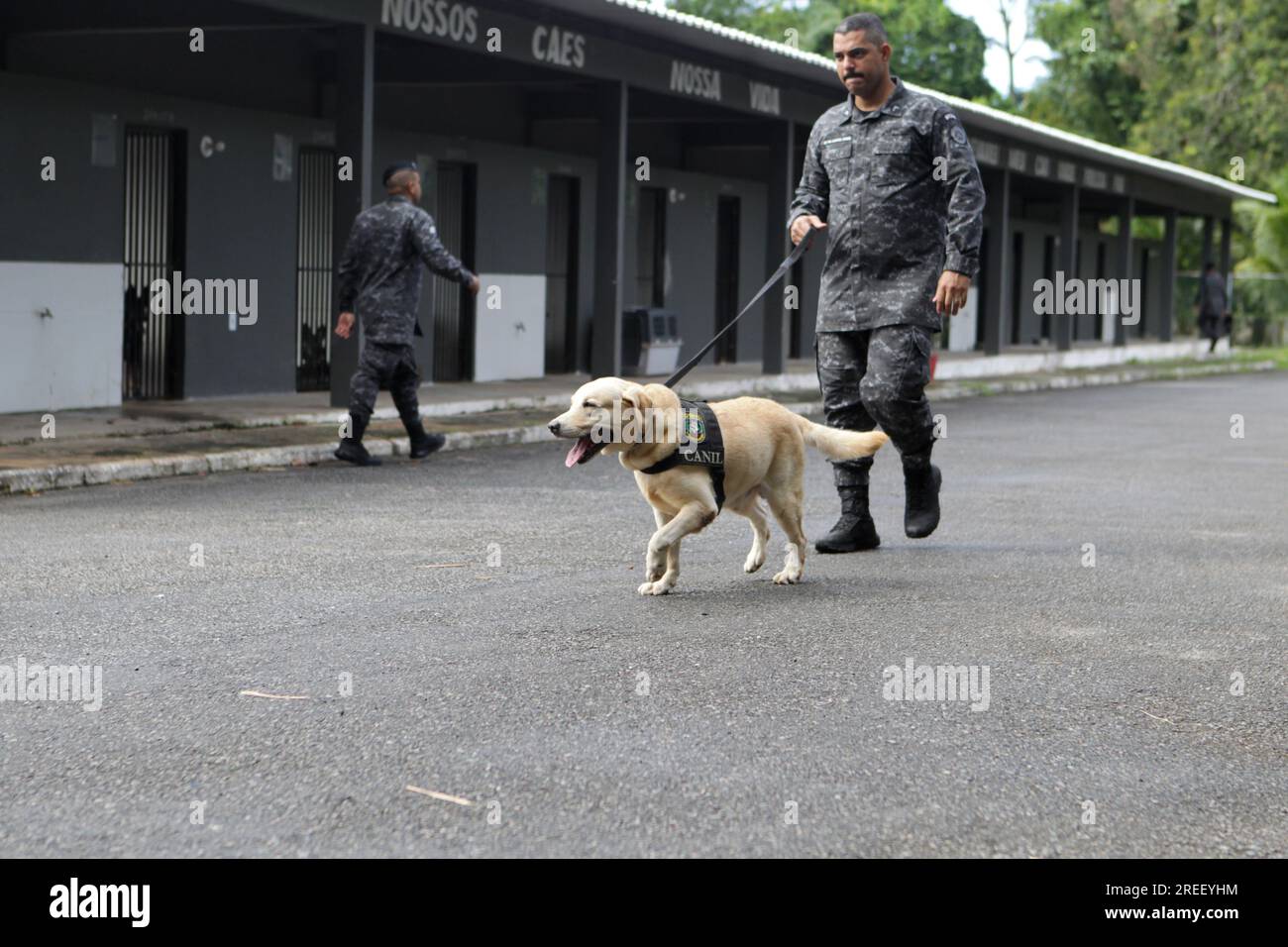 Narcotics and explosives detection hi-res stock photography and images - Alamy