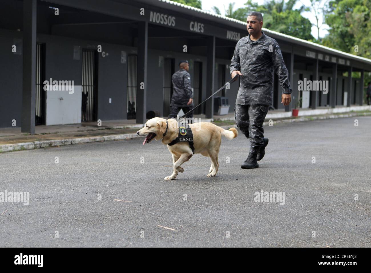 Narcotics and explosives detection hi-res stock photography and images - Alamy