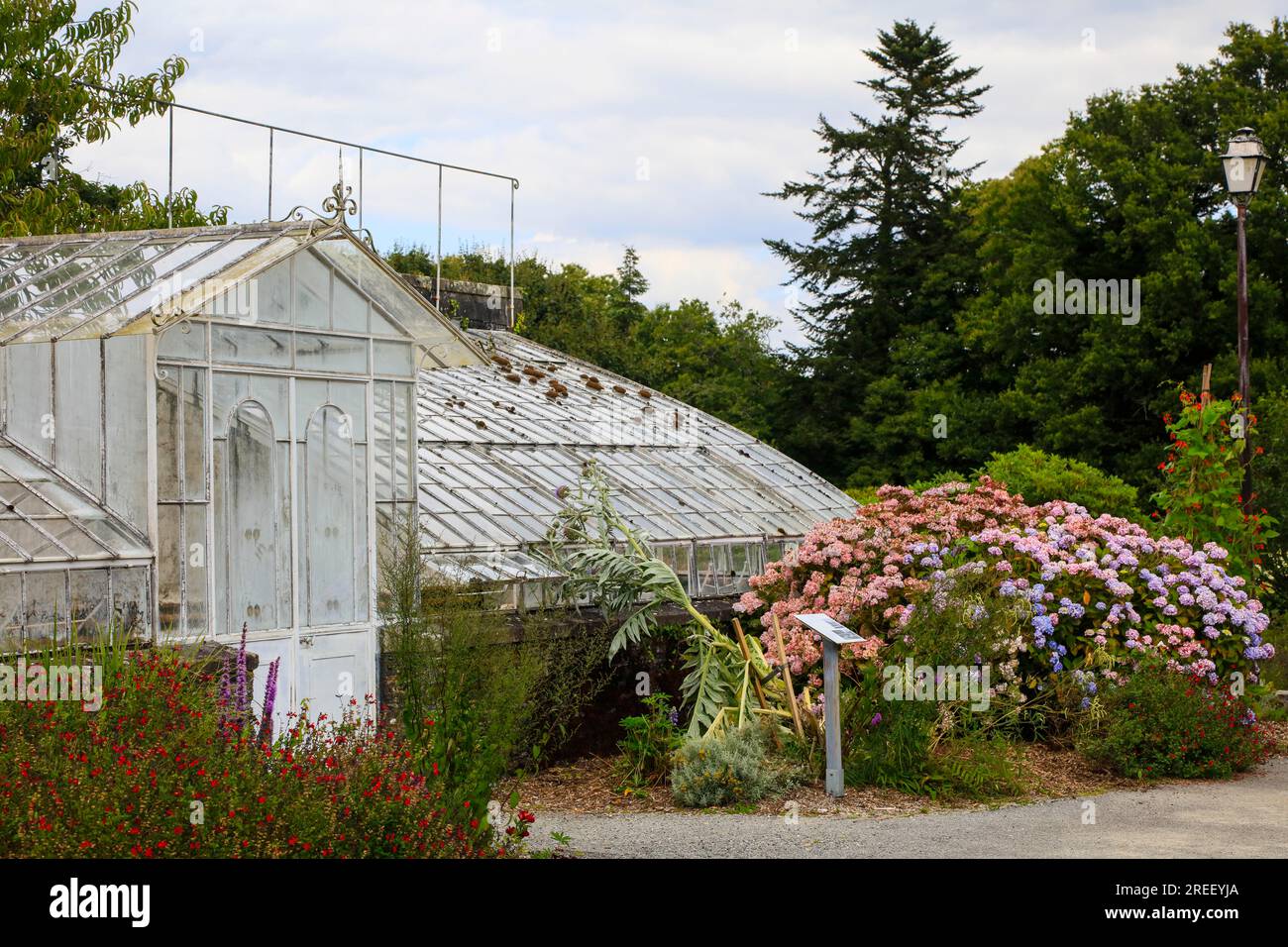 Greenhouses, neo-Gothic Victorian Chateau de Trevarez, built 1893-1907 ...