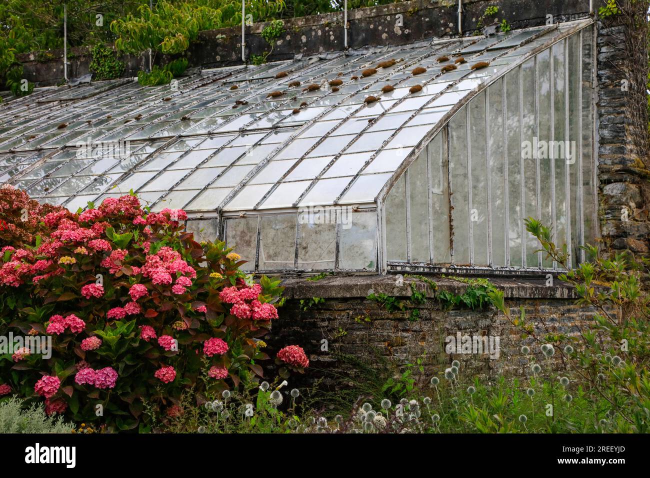 Gothic Victorian Greenhouse