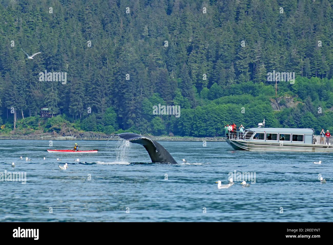 Kayak with ship hi-res stock photography and images - Alamy