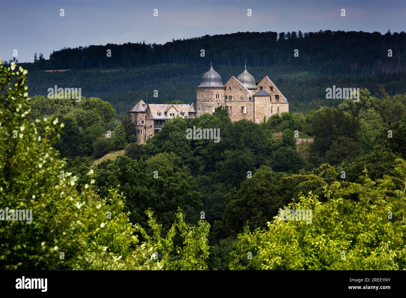 Sababurg, popularly known as Sleeping Beauty's Castle after the ...