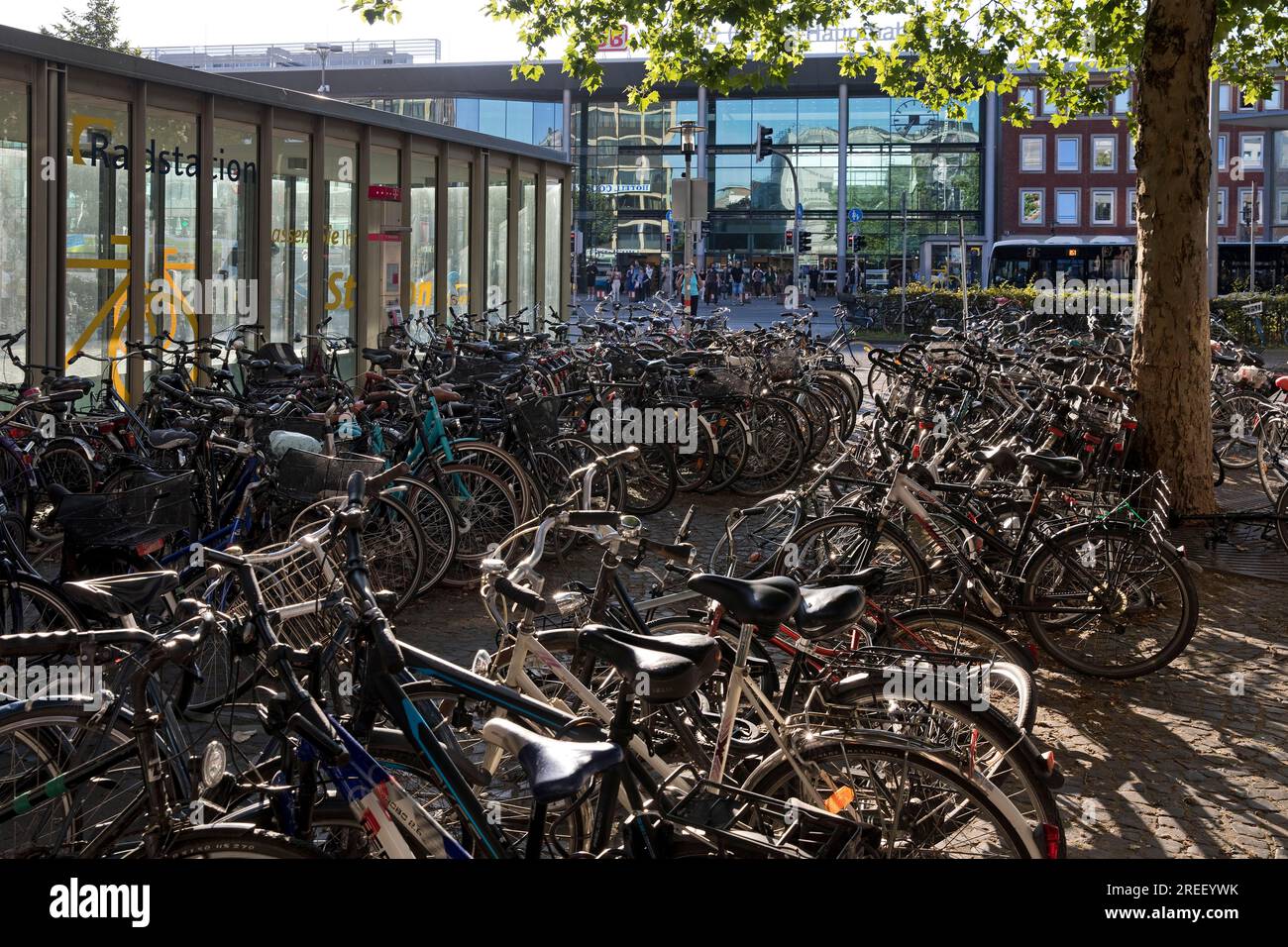 Very many bicycles at the main station, Fahhradhauptstadt, Muenster ...