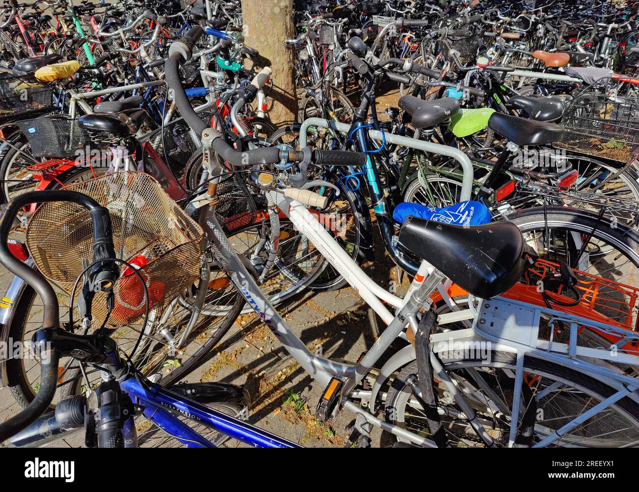 Very many bicycles at the main station, Fahhradhauptstadt, Muenster ...