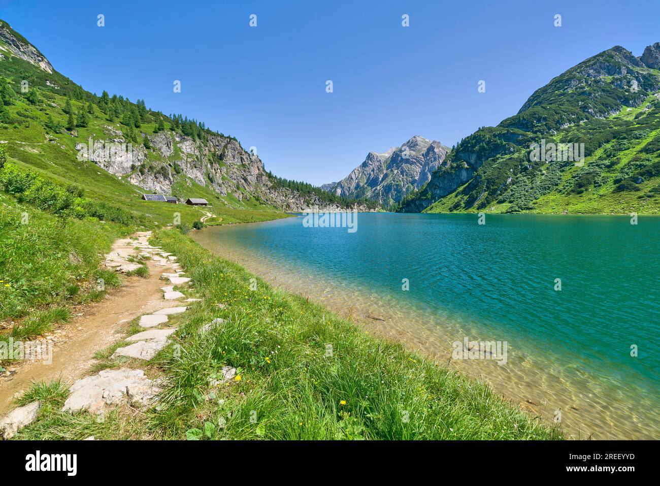 Hiking trail at Tappenkarsee, Raucheck and Wildkarhoehe, alpine pasture ...