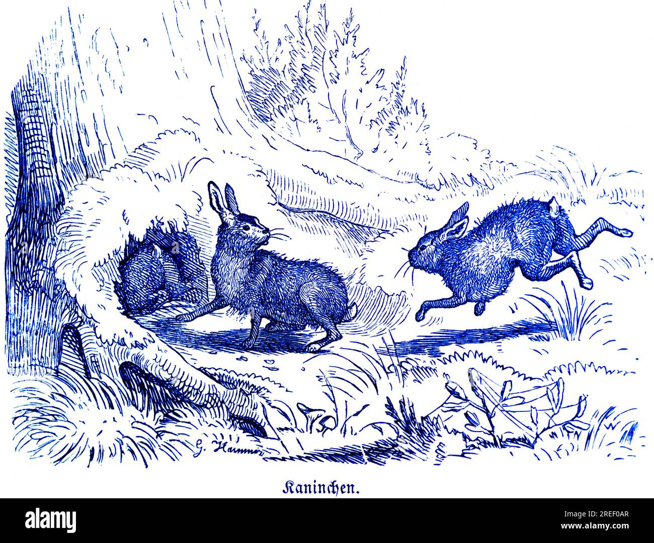 Three rabbits in front of the cave, Hubertus hunting and hunting scenes ...