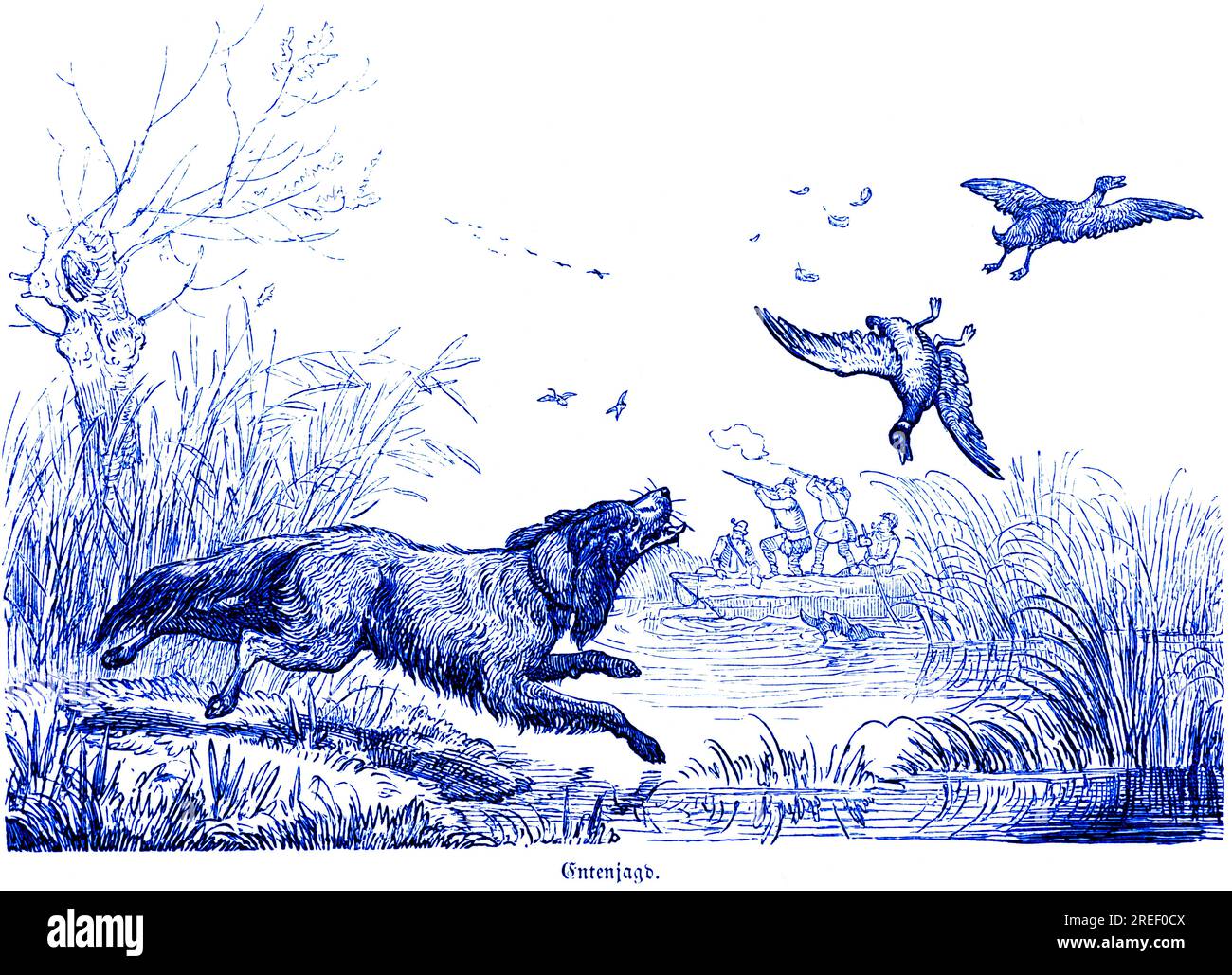 Duck hunting, Hubertus hunting, hunting scenes, wild animals, boat ...