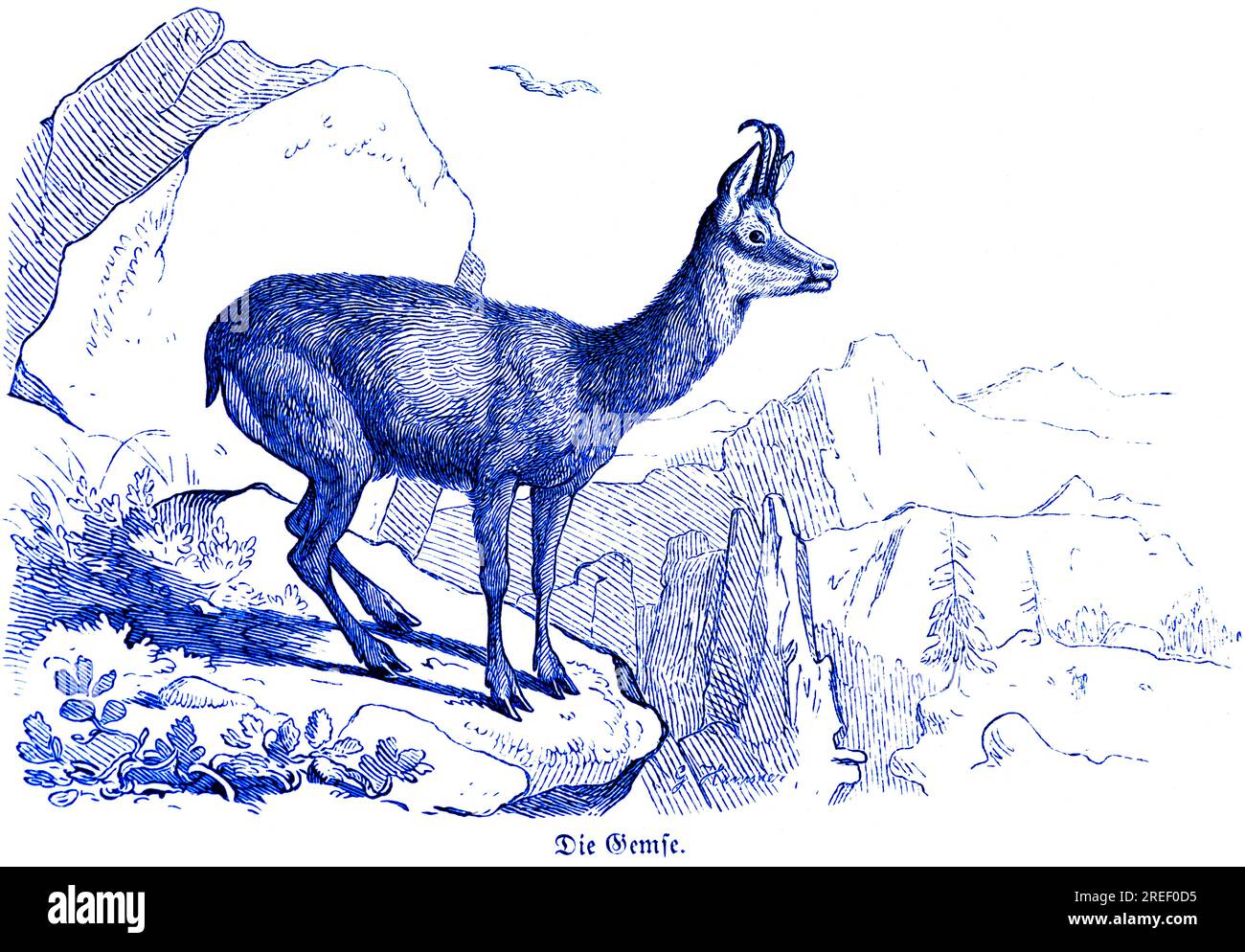 Mountain cliff scene illustration hi-res stock photography and images ...