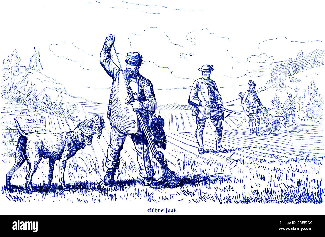 Hen hunt, partridges, driven hunt, Hubertus hunt, hunting scenes, wild ...