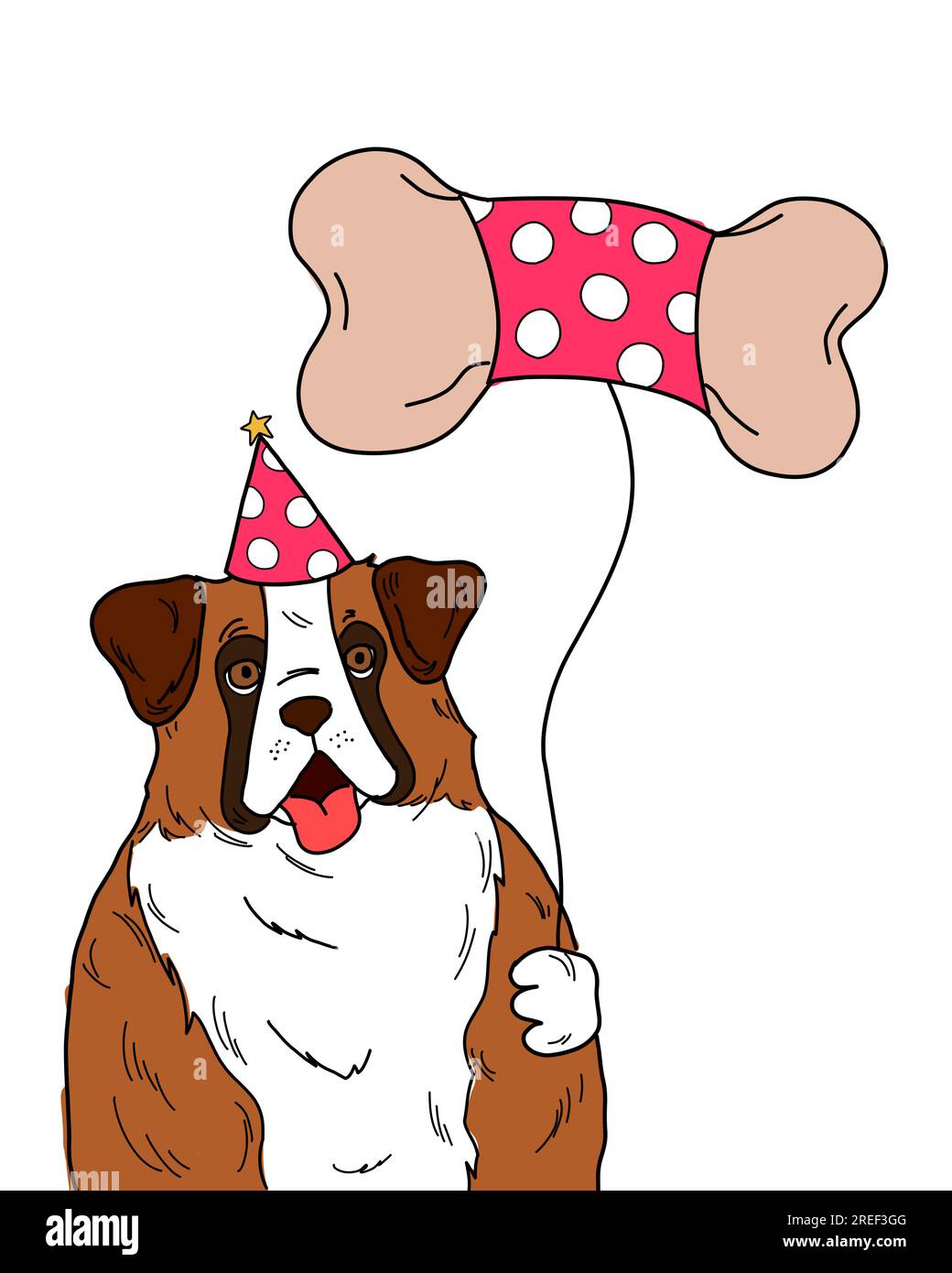 Saint Bernard dog holding a bone balloon celebrate birthday party ...