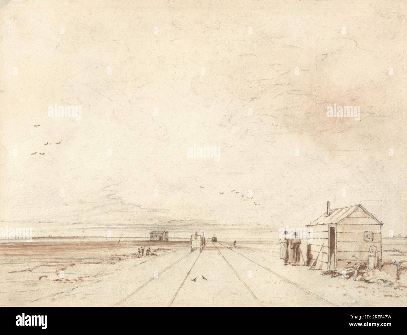 Chat moss hi-res stock photography and images - Alamy