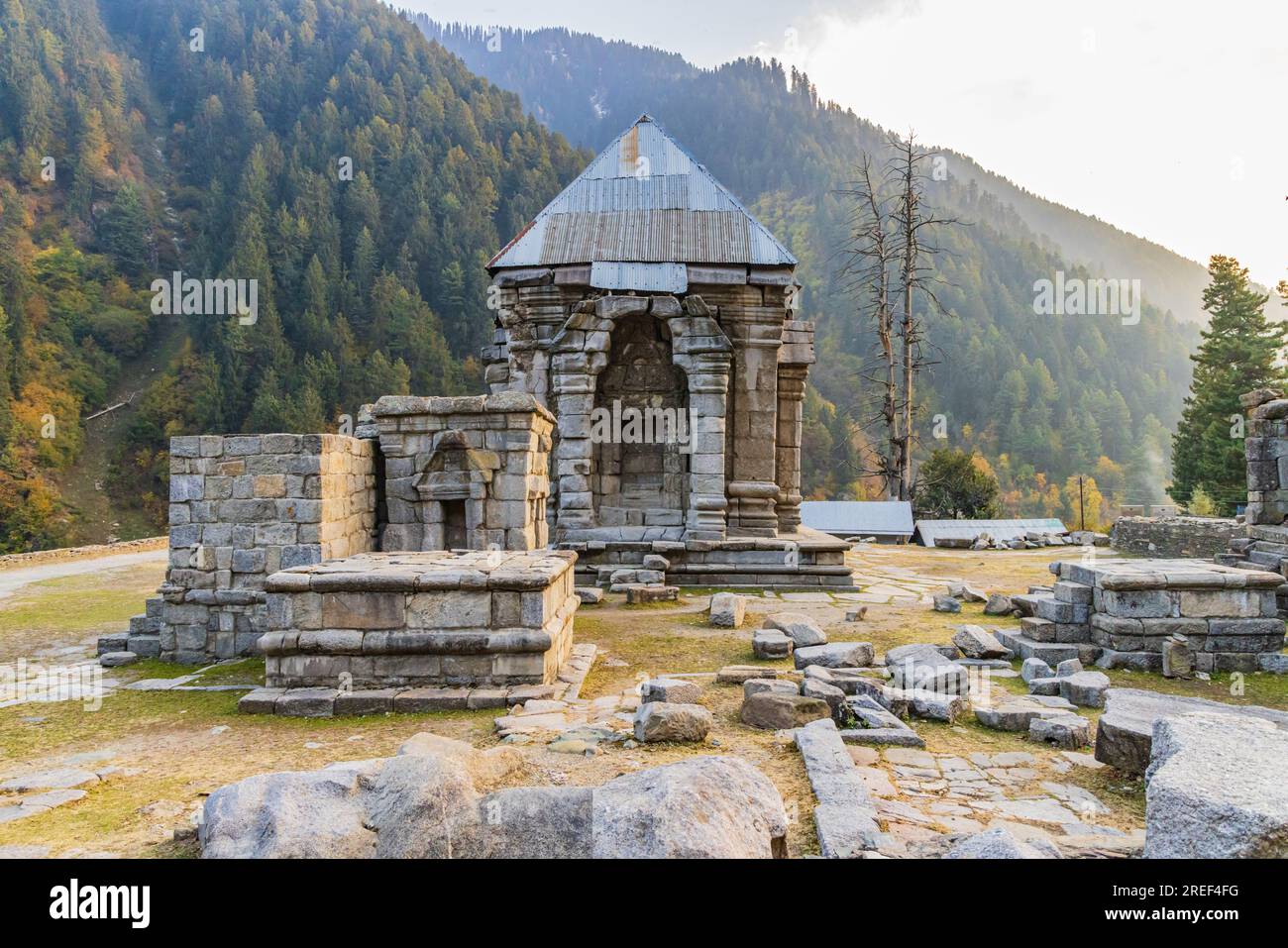 Naranag, Kangan, Jammu and Kashmir. The Naranag Temples archaeological ...