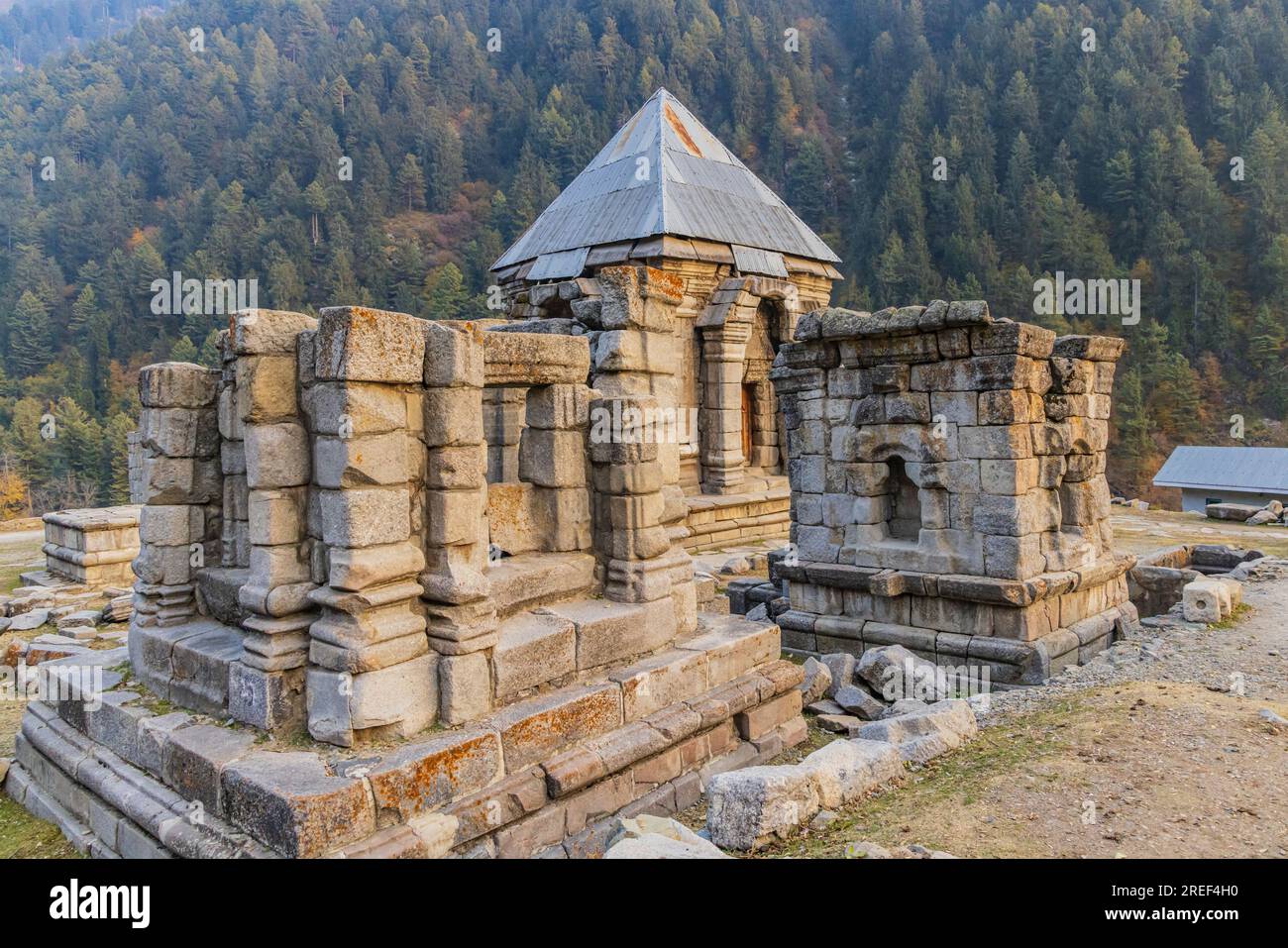 Naranag, Kangan, Jammu and Kashmir. The Naranag Temples archaeological ...