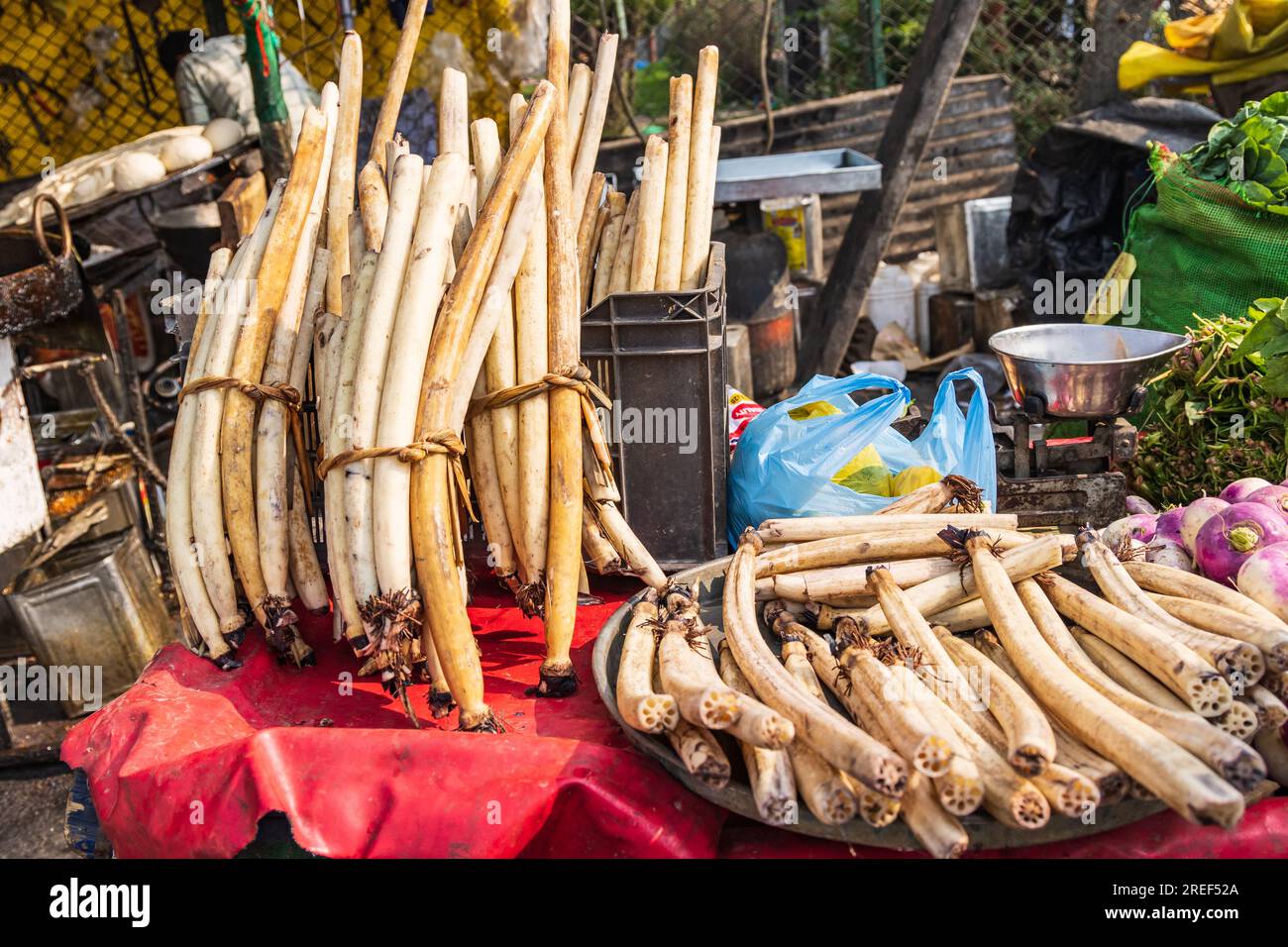 Rainawari, Srinagar, Jammu and Kashmir, India. Lotus roots at a market ...