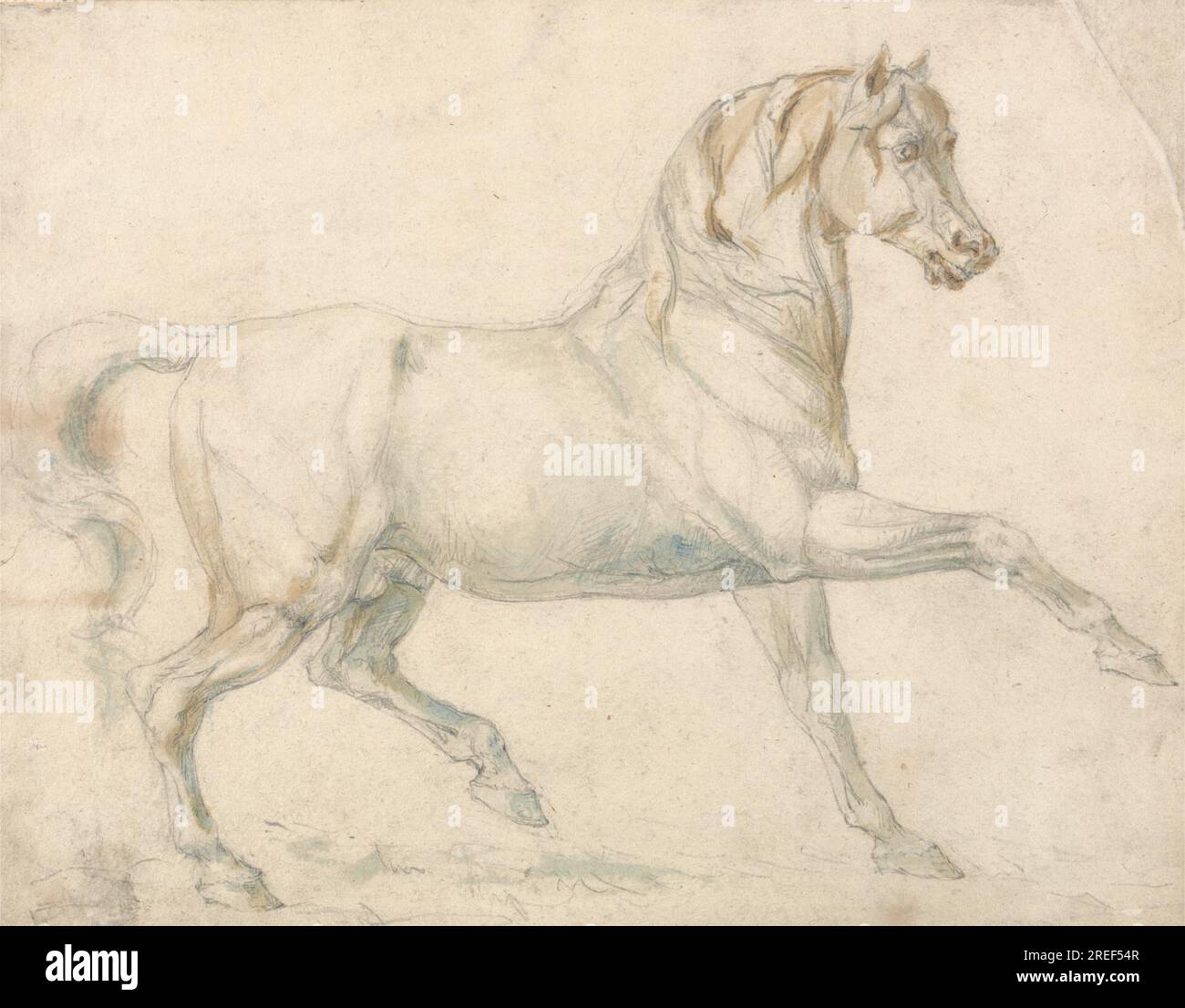 An Arabian Stallion Walking to Right by William Sawrey Gilpin Stock ...