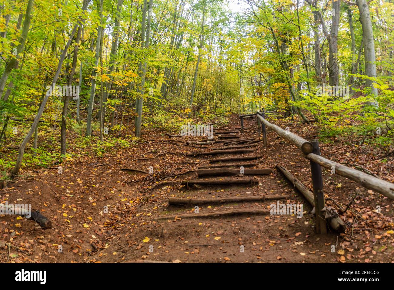 Hiking trail in Cesky kras nature protected area, Czech Republic Stock ...