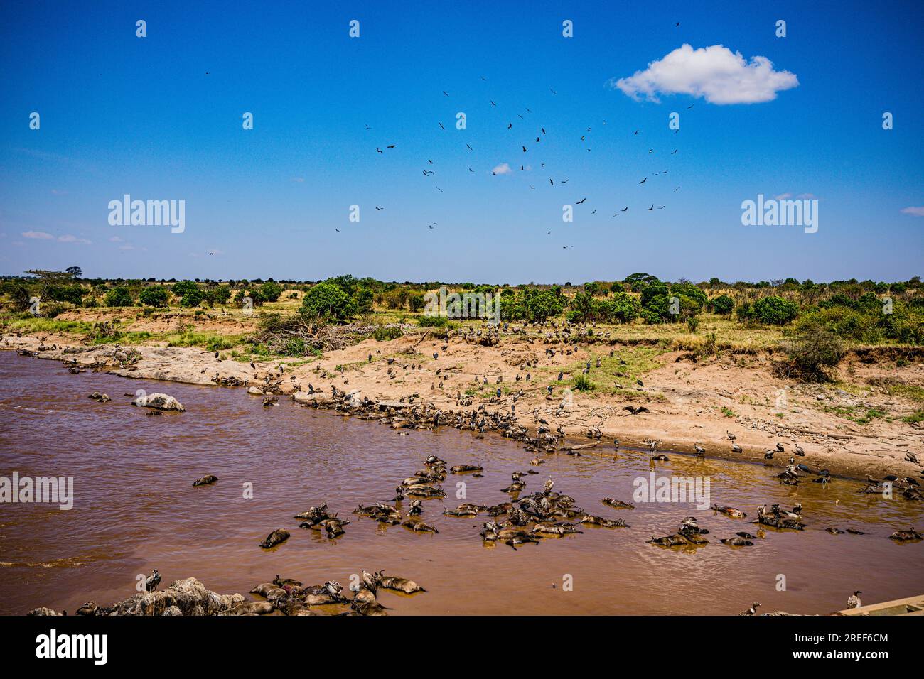 Maasai Mara National Reserve is an area of preserved savannah ...
