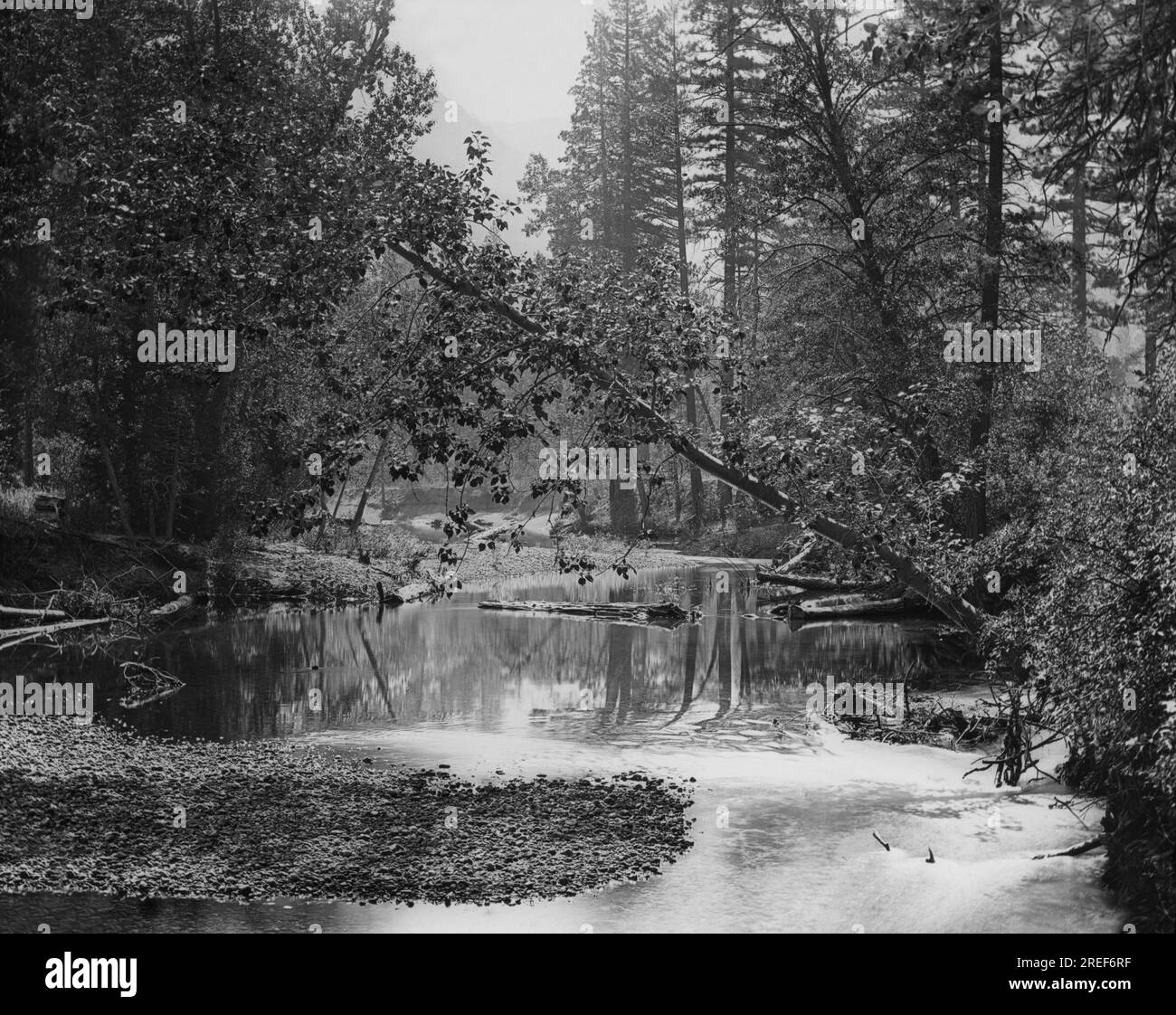 Merced River, Yosemite - Pub. by York & Son - Date: 1881-1888 - Round ...