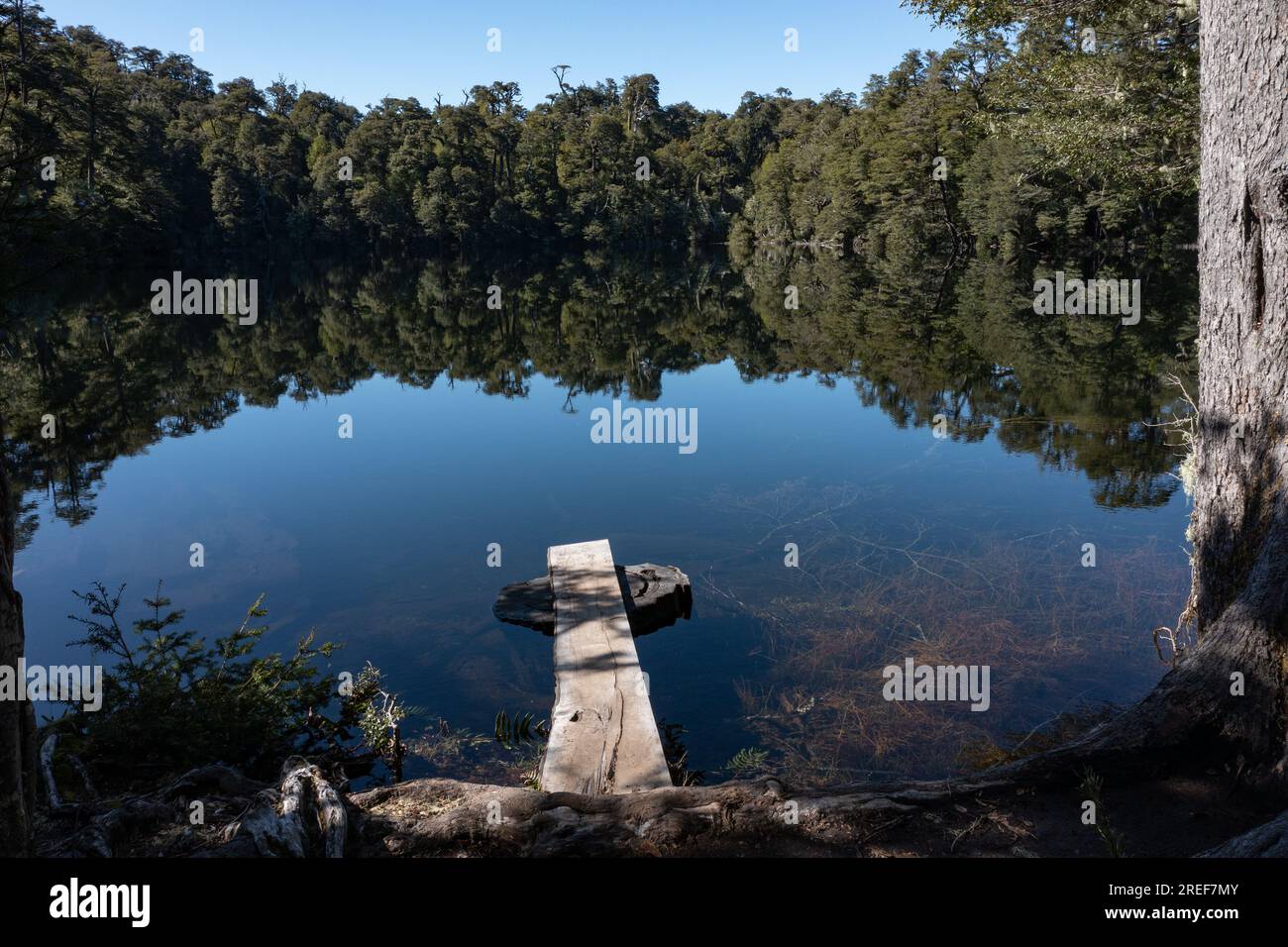 Heart lagoon, Laguna Corazon, Chile. Drone top down view go lagoon with ...
