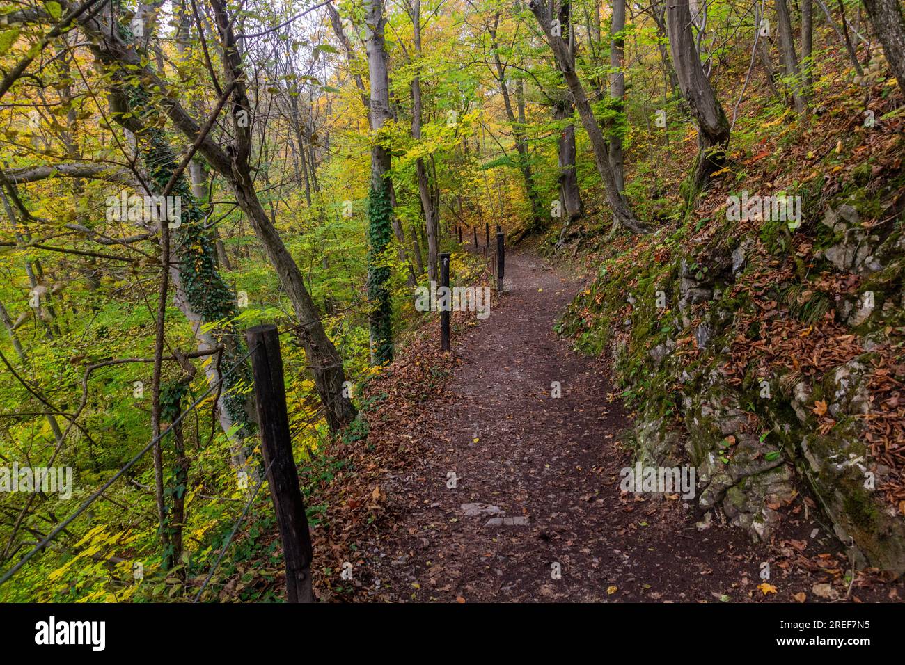 Hiking trail in Cesky kras landscape park, Czech Republic Stock Photo ...