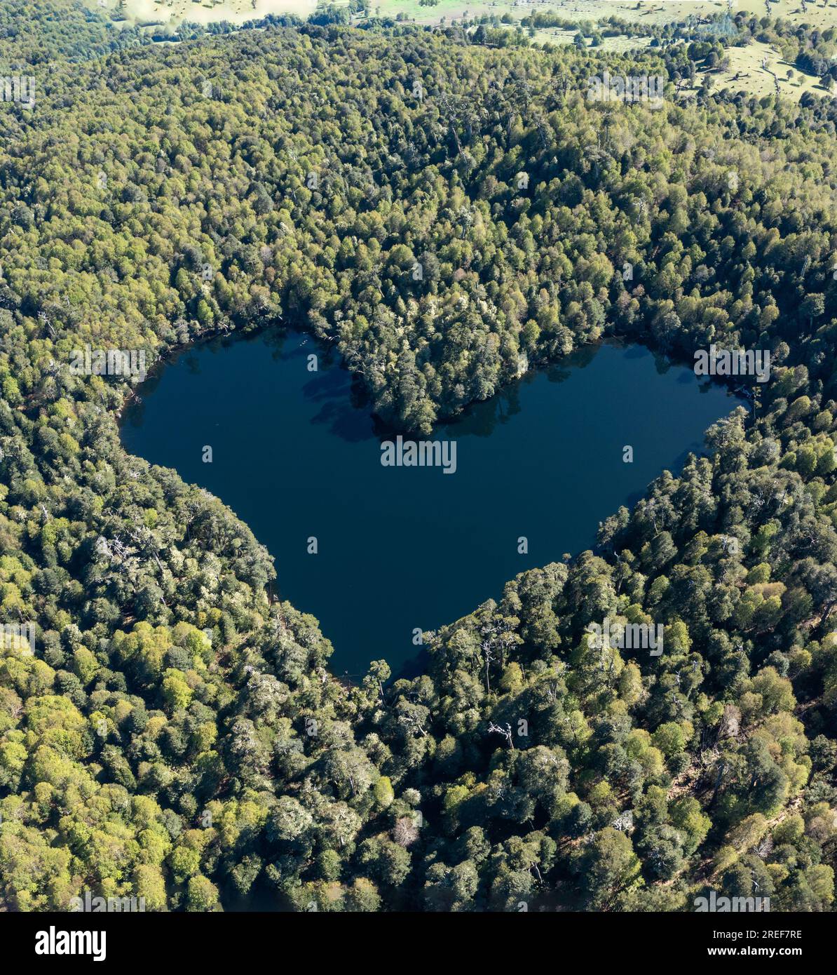 Heart lagoon, Laguna Corazon, Chile. Drone top down view go lagoon with ...
