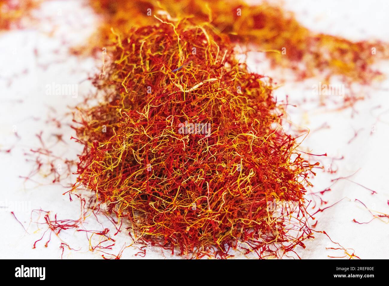 Chanda Haro, Pampore, Jammu and Kashmir, India. Pistils from saffron ...