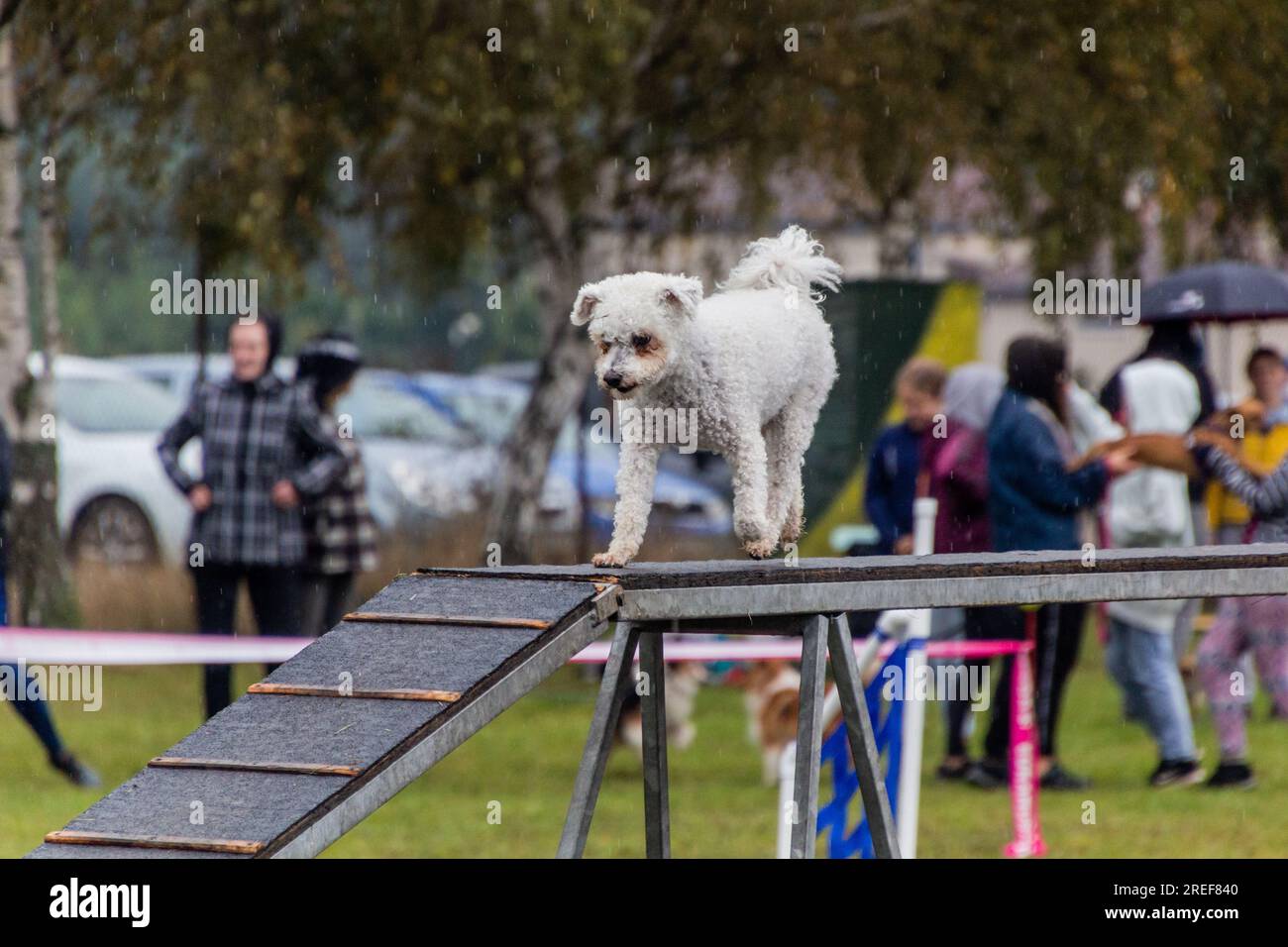 Obstacle running hi-res stock photography and images - Alamy