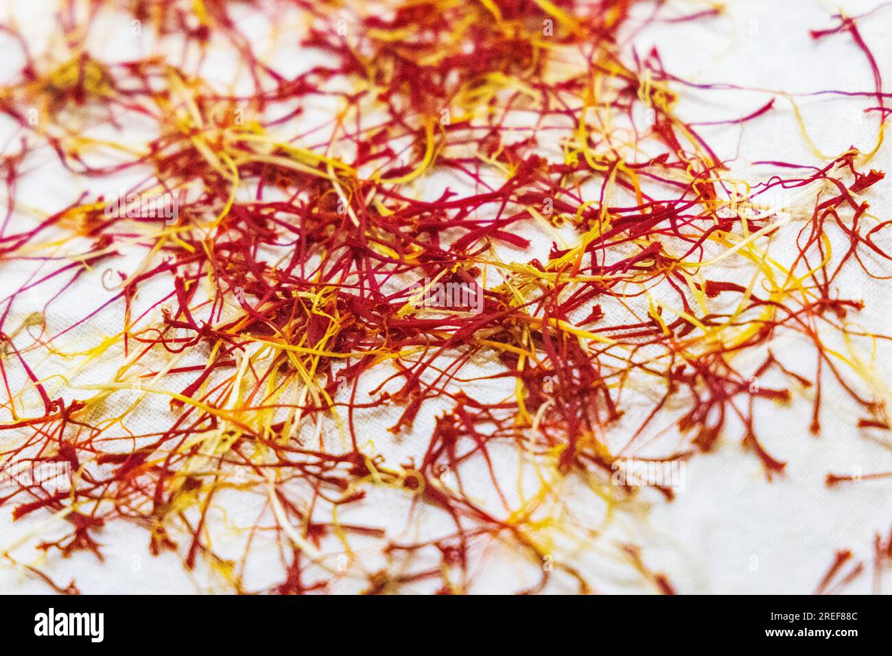 Chanda Haro, Pampore, Jammu and Kashmir, India. Pistils from saffron ...