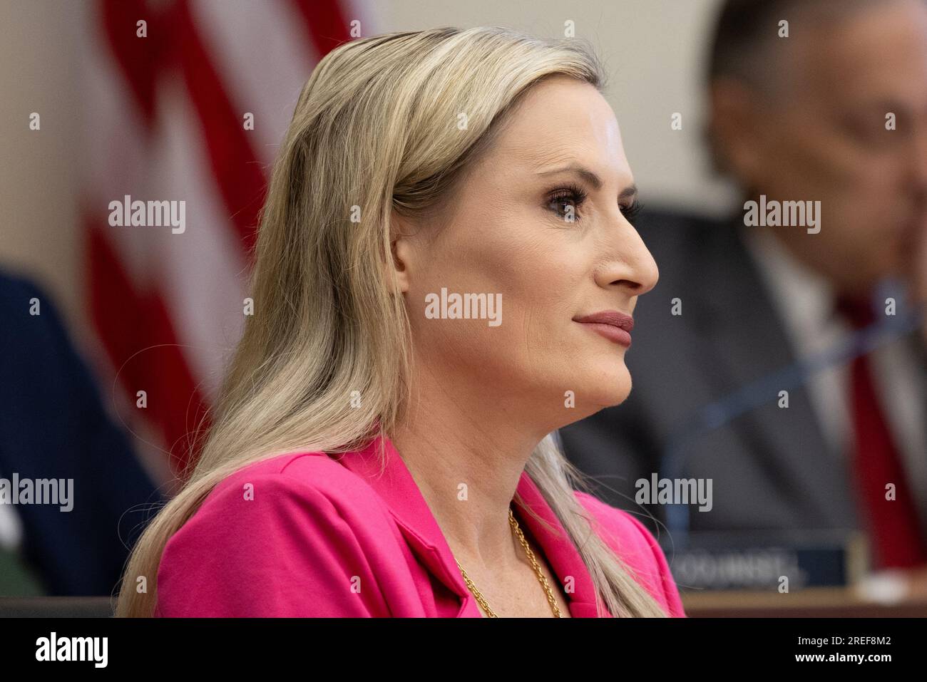 House judiciary subcommittee on crime hi-res stock photography and ...