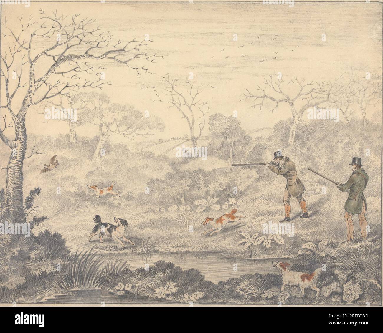Woodcock Shooting by Edwin Gill Stock Photo - Alamy