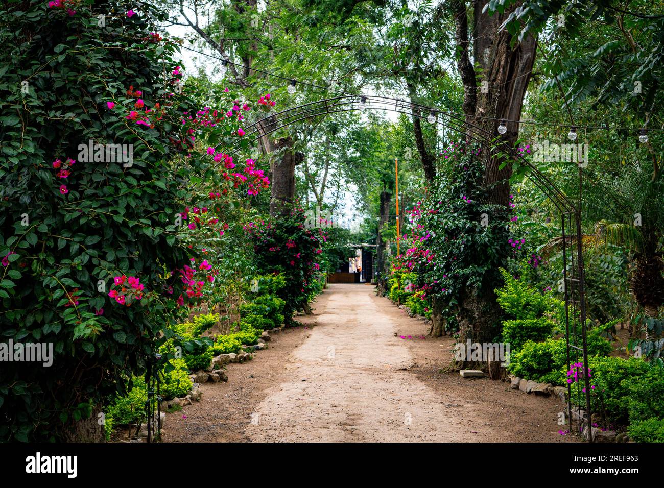 garden with rose arch gate, and colorful summer flowers in bloom Stock Photo - Alamy